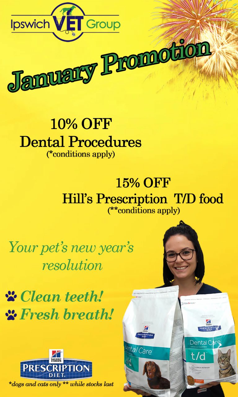 January Promo | Pine Mountain Vet Clinic, Ipswich Vet Group