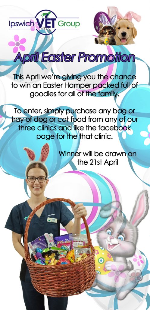 Easter Promo | Pine Mountain Vet Clinic, Ipswich Vet Group